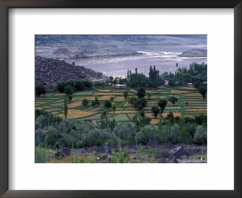 Indus Valley Agriculture