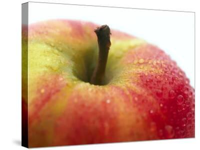 'Apple and stem' Photographic Print - | Art.com