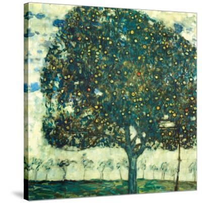 Apple Tree II, c.1916 Stretched Canvas Print by Gustav Klimt | Art.com