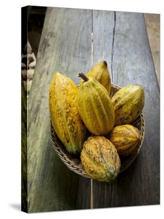 'Costa Rica, La Virgen De Sarapiqui, Picked Cocoa Pods Used for ...