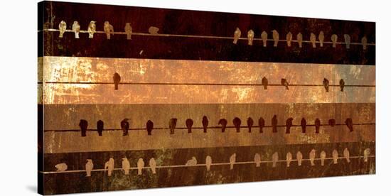 Counting Crows Stretched Canvas Print Sm Design