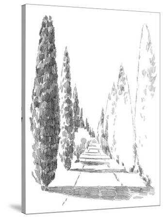 Countryside Sketch Avenue Stretched Canvas Print Kristine Hegre