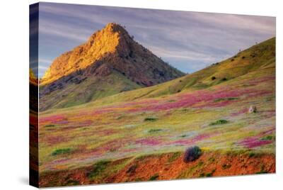 'Early Spring Hills at Kern County' Photographic Print | Art.com