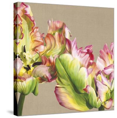 'Flock - Detail I' Stretched Canvas Print - Sarah Caswell | Art.com