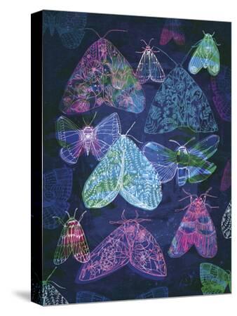 'Floral Night Moths' Stretched Canvas Print - Paula Mills | Art.com