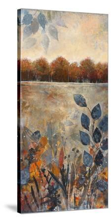 'Gilded Horizon II' Stretched Canvas Print - Georges Generali | Art.com