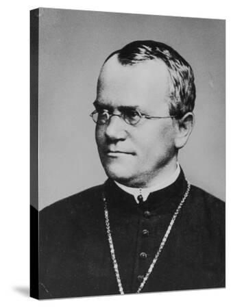 'Gregor Johann Mendel Austrian Botanist' Photographic Print | Art.com