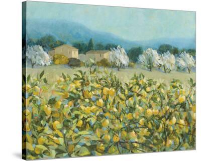 'Lemon Grove, Tuscany' Stretched Canvas Print - Hazel Barker | Art.com