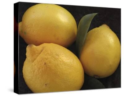 'Lemon Trio' Stretched Canvas Print - Bill Philip | Art.com