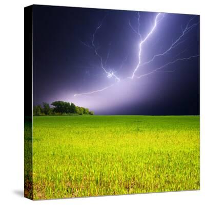 'Lightning Strike over a Field' Photographic Print - Leonid Tit | Art.com