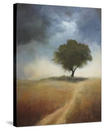 'Lone Tree' Stretched Canvas Print - Bill Philip | Art.com