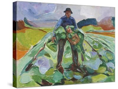 'Man In The Cabbage Field' Stretched Canvas Print - Edvard Munch | Art.com
