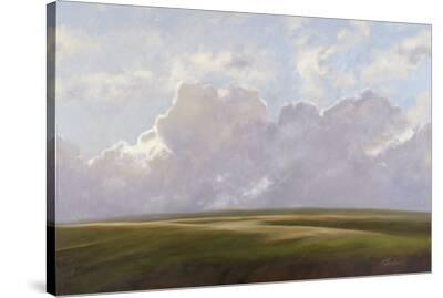 'Palouse Afternoon' Stretched Canvas Print - Todd Telander | Art.com