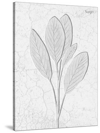 'Pressed Plaques - Sage' Stretched Canvas Print - Kristine Hegre | Art.com