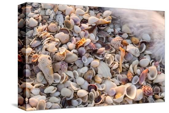 Incoming Surf and Seashells on Sanibel Island, Florida, USA Stretched ...
