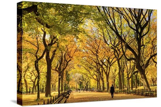 Usa, New York City, Manhattan, Central Park, the Mall Stretched Canvas ...