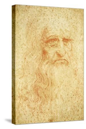 'Self-Portrait' Stretched Canvas Print - Leonardo da Vinci | Art.com