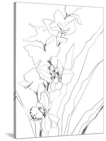 Sketch Lines Bud Stretched Canvas Print Kristine Hegre
