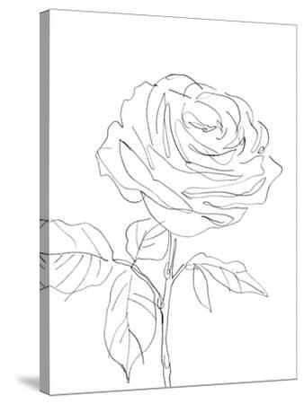Sketched Floral Allure Stretched Canvas Print Kristine Hegre
