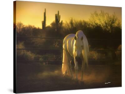 'Stallion in the Garden (color)' Stretched Canvas Print - Barry Hart ...