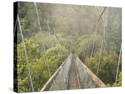 'Swingbridge, Motu Falls, Motu, Gisborne, North Island, New Zealand ...