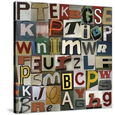 'Type II' Stretched Canvas Print - Sharon Elphick | Art.com