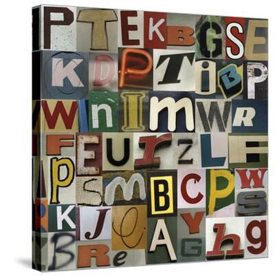 'Type II' Stretched Canvas Print - Sharon Elphick | Art.com