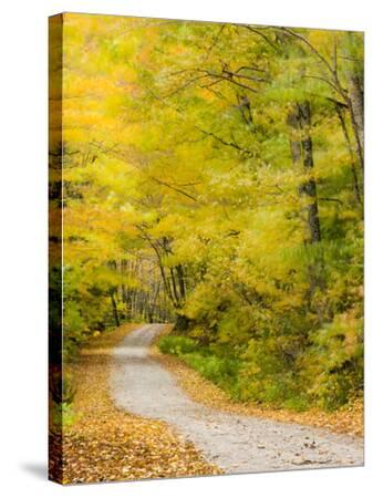'Wind Blurs the Fall Colors Along Kelly Stand Road, Vermont, Usa ...