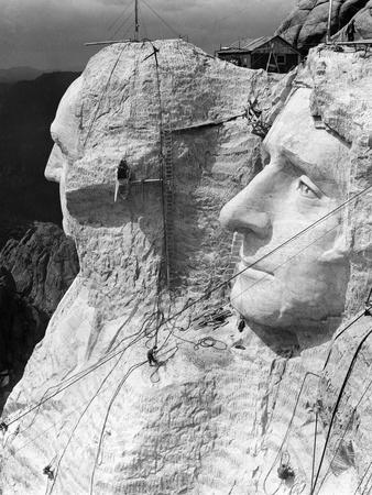 Kitten Version Mount Rushmore