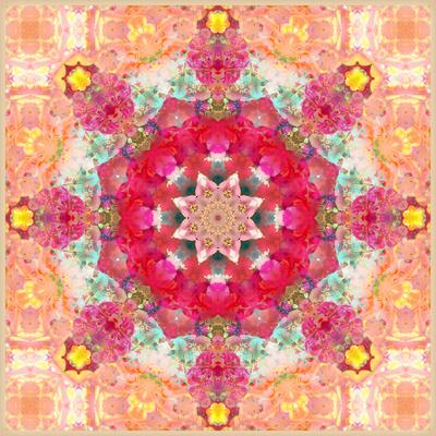 'A Floral Montage, Layer Work from Pink and Red Poeny Blossoms and Pink ...