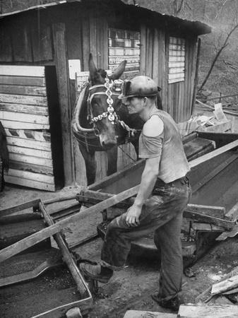 'A Miner Standing with a Mule at the Rock House Coal Co. Mine ...