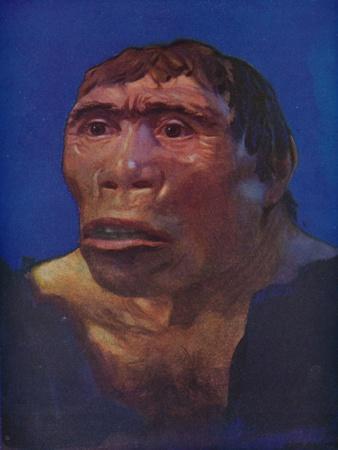 'A Reconstruction of the Java Man' Giclee Print | Art.com