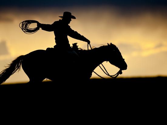 A Silhouetted Cowboy Riding Alone a Ridge at Sunset in Shell, Wyoming ...