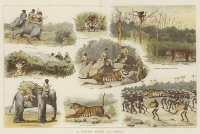 A Tiger Hunt in India Giclee Print | Art.com