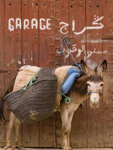 Mules Art: Prints, Paintings, Posters & Wall Art | Art.com