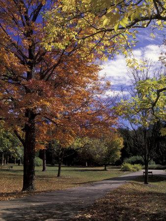 Autumn Colors and Roadway, Bernheim Forest and Arboretum, Clermont ...
