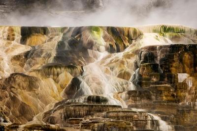 'Colorful travertine slope with cyanobacteria, Mammoth Hot Springs ...