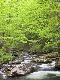 'Mountain Stream, Great Smoky Mountains National Park, North Carolina ...