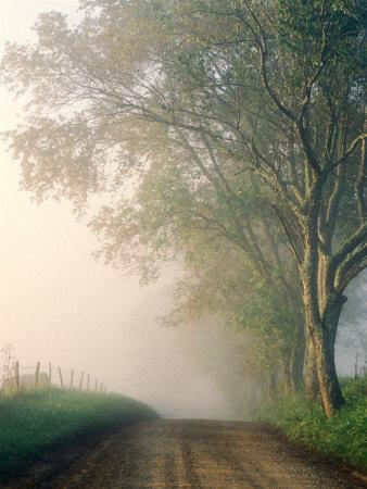 'Sparks Lane, Cades Cove, Great Smoky Mountains National Park ...