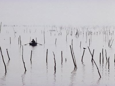 'Oyster Beds, Arcachon, Gironde, Aquitaine, France' Photographic Print ...
