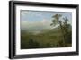 'Adirondack Mountains, N.Y., 1870 (Oil on Canvas)' Giclee Print - Asher ...