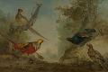 'Pheasants' Art Print - Aert Schouman | Art.com