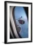 'Airbus A340 Aircraft, View Out of the Window with Engine and Wing ...