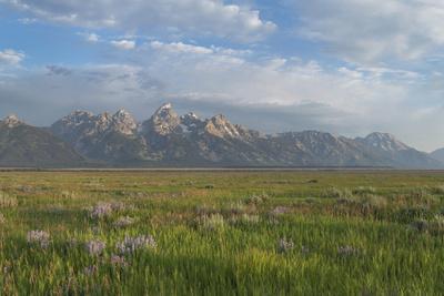 'Antelope Flats, Grand Teton National Park' Photographic Print - Alan ...
