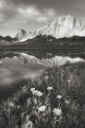 'Pronghorn and Dragon Head Peaks BW' Photographic Print - Alan ...