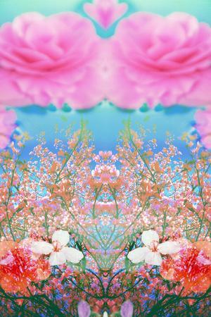 'A Floral Montage of Flowers and Trees' Photographic Print - Alaya ...