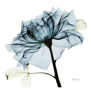 Albert Koetsier Art: Prints, Paintings, Posters & Wall Art | Art.com