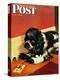 '"Butch and Mousetrap," Saturday Evening Post Cover, June 8, 1946 ...