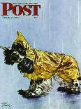 '"Butch Fishes for a Shoe," Saturday Evening Post Cover, August 21 ...