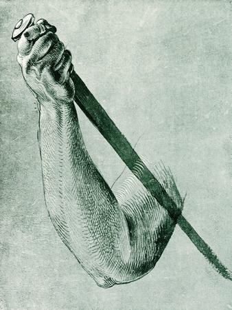 'Arm Study for Lucretia' Giclee Print - Albrecht Dürer or Duerer | Art.com